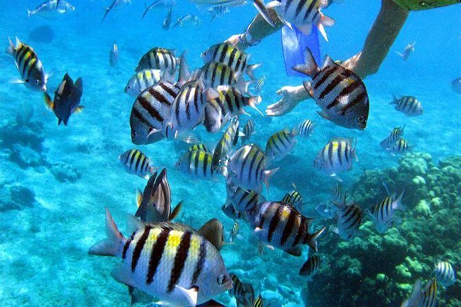 El Cielo Cozumel - Transportation and Group Size