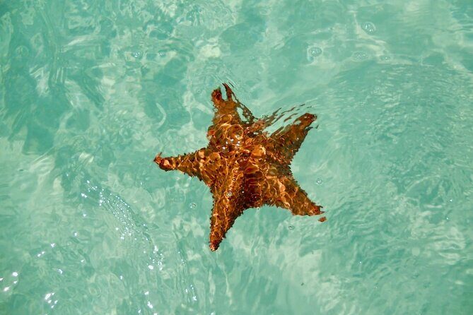 El cielo Cozumel From Cancún and round Transfer with Lunch - Practical Insights and Value