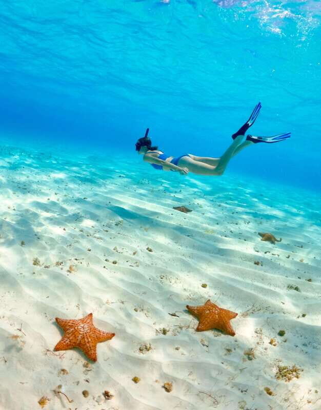 El Cielo Cozumel private snorkel tour - Final Thoughts