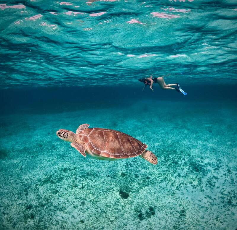 El Cielo Cozumel private snorkel tour - FAQ