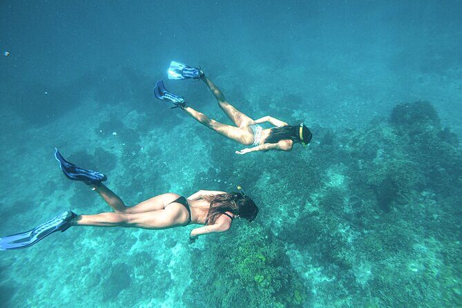 El Cielo Cozumel Snorkel Share Boat + Reefs + Food Drinks + Beach - FAQ