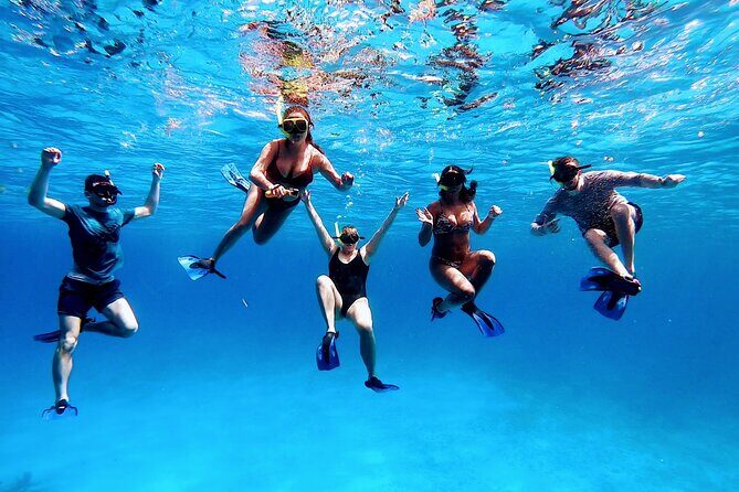 El Cielo Cozumel Snorkeling by Private Boat - Real Experiences and Authentic Insights from Reviewers