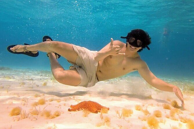 El Cielo Cozumel Snorkeling by Private Boat - Who Should Consider This Tour?