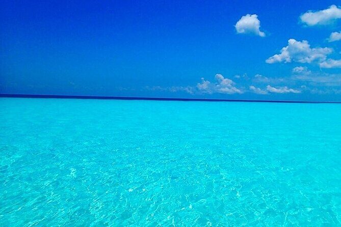 El Cielo Cozumel Snorkeling Tour - All-Inclusive - To sum it up