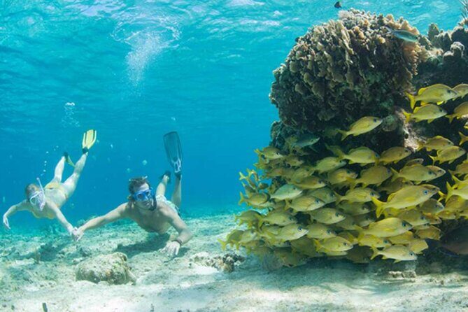 El Cielo Palancar and Columbia Snorkeling Tour - Who Will Love This Tour?