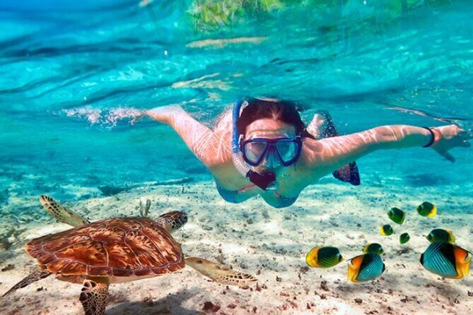 El Cielo Palancar and Columbia Snorkeling Tour - The Sum Up