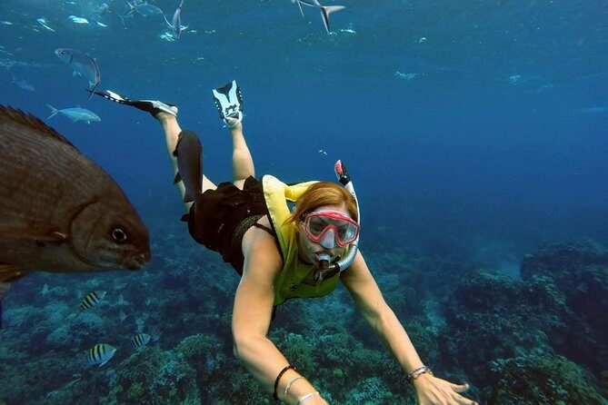 El Cielo Snorkel by Private Boat - Authentic Experiences Highlighted in Reviews