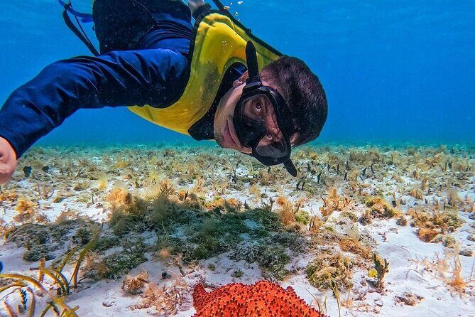 El Cielo Snorkeling Adventure in Cozumel - What to Expect from the Itinerary