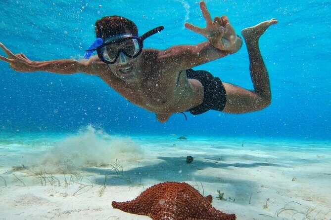 El Cielo Snorkeling Adventure in Cozumel - Who Will Love This Tour?