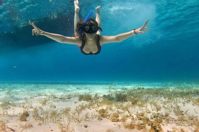 El Cielo Snorkeling Tour and The Top Reefs of Cozumel - Who Is This Tour Best For?