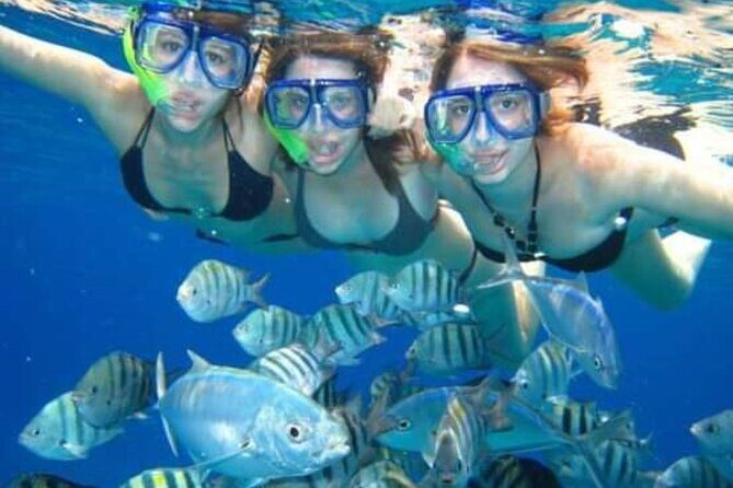 El Cielo Tour with Reef Snorkeling from Cozumel - What This Tour Offers: A Deep Dive into Cozumel’s Marine Life