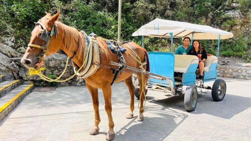 El mejor Tour a Cola de Caballo + Guía + Traslado + Tickets - Final Thoughts