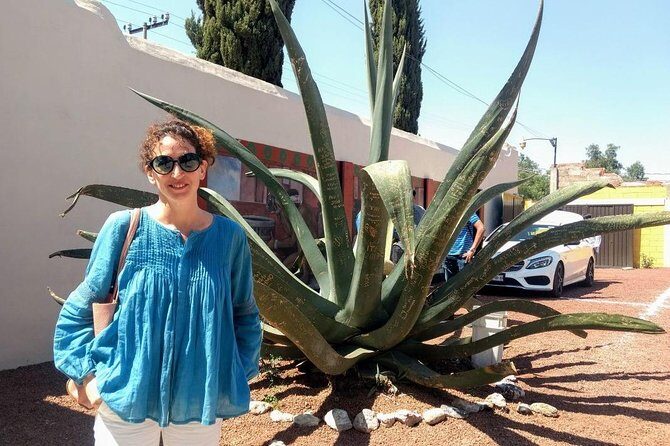 El mejor Tour Privado, Piramides de Teotihuacán y Basílica. ! - Who Should Consider This Tour