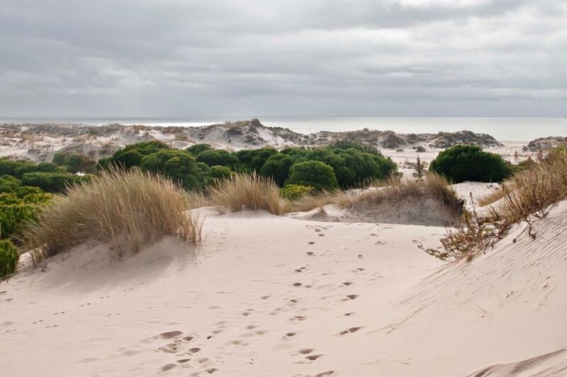 El Rocío: Doñana National Park 4x4 Guided Tour - FAQ