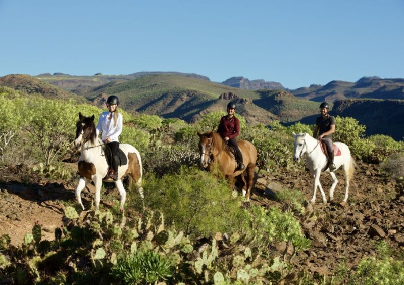 El Salobre: Horse Riding Adventure with Transfer Options - An Authentic Way to Experience Gran Canaria