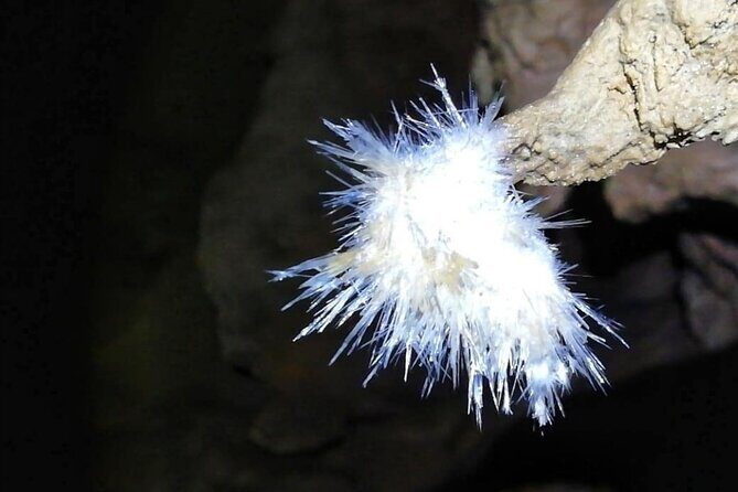 El Soplao Cave Visit with entrance ticket- small groups - What We Loved About This Tour