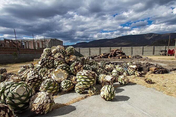 El Tule, Teotitlán, Mitla, Hierve el Agua and Mezcal Factory - A Deep Dive into the Tour Experience