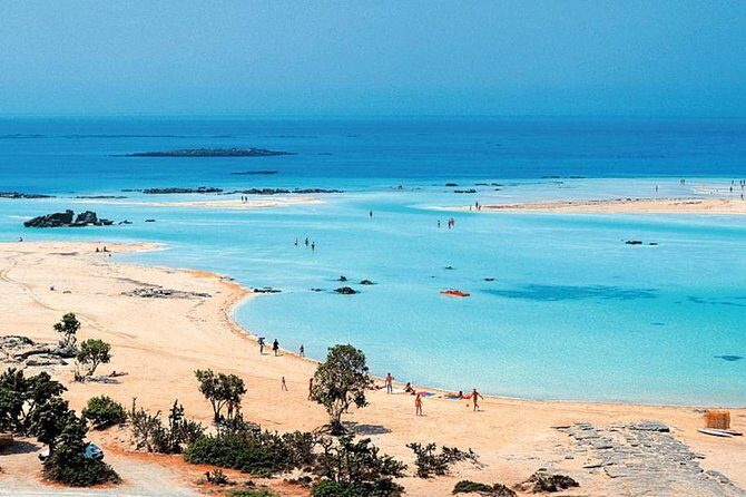 Elafonisi Beach Trip from Rethymno - What the Reviews Say: Authentic Insights