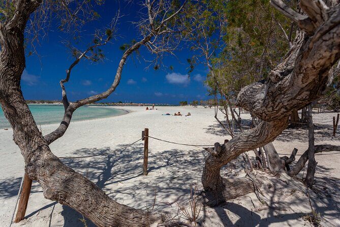 Elafonisi & Milia Mountain - Jeep Tour with Loungers and Lunch - What’s Included and What’s Not