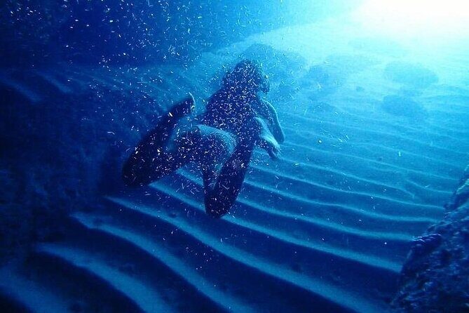 Elaphite Islands - Full-Day Kayaking and Snorkeling tour - Practical Considerations