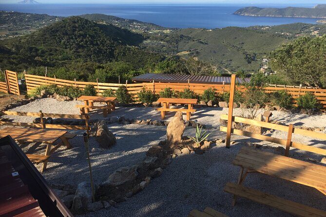 Elba Island Farmhouse tasting experience - An In-Depth Look at the Elba Island Farmhouse Tasting Experience
