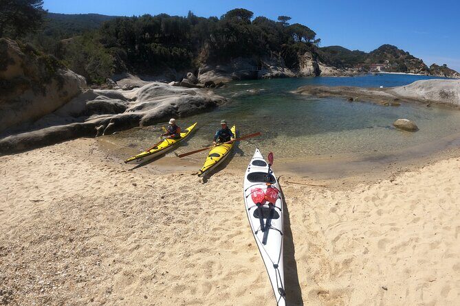 Elba Island Full Day Sea Kayak Tour - Introduction: Why This Tour Might Be Your Best Elba Experience