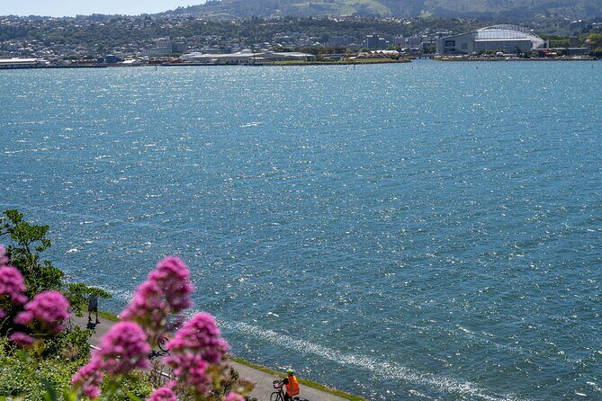 Electric Bike Rental - The Sum Up: Who Will Love This Experience?  