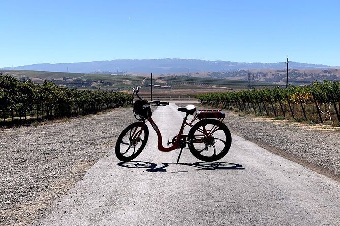 Electric Bike Rental in Livermore - Practicalities and Booking Details