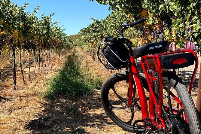 Electric Bike Rental in Livermore - Authentic Experience and What Reviewers Say