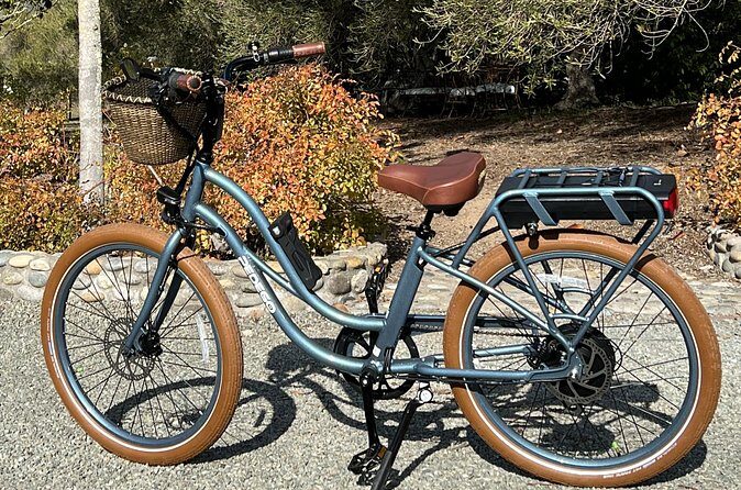 Electric Bike Rental in Livermore - In The Sum Up