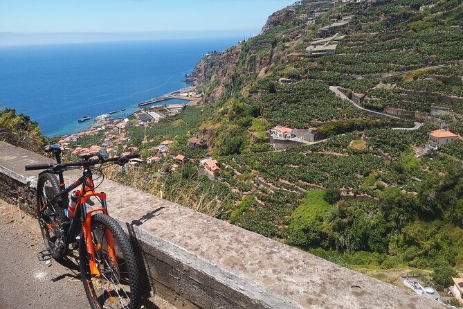 Electric Bike Tour in Northern Madeira - The Value of This Tour