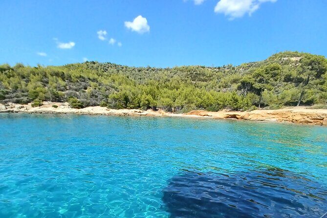 Electric Boat Daily Cruises - Practical Details for Your Day