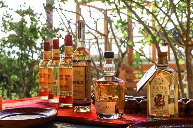 Electric Eco-Bike Beach Adventure with Mexican Lunch - Key Points