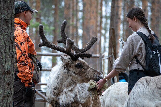 Electric Fatbike Trip to the Reindeer Farm - The Reindeer Farm Experience