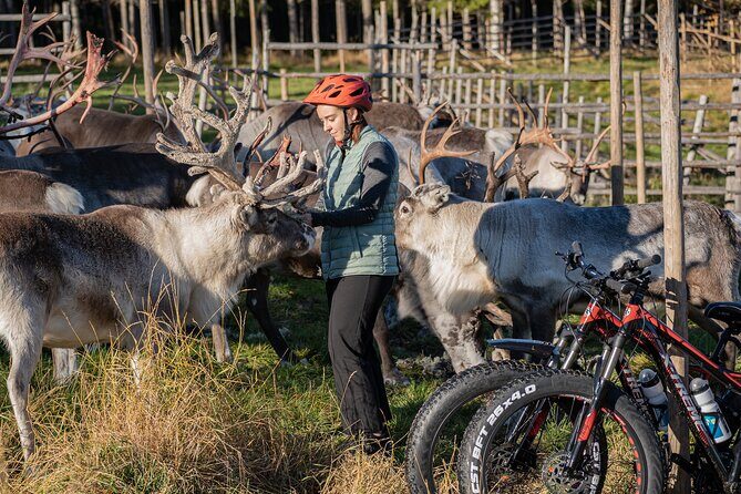 Electric Fatbike Trip to the Reindeer Farm - Practical Details and Value