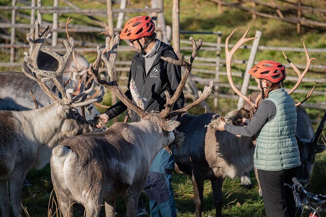 Electric Fatbike Trip to the Reindeer Farm - The Sum Up