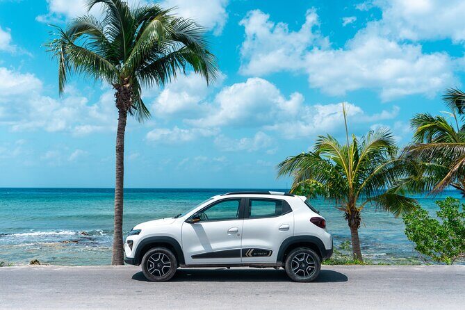 Electric Island Tour with Snorkel, Picnic and Otoch Mayan Experience - Whats Included and How It Adds Value