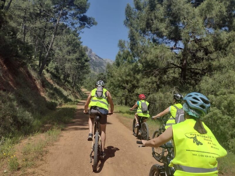Electric mountain bike in Sierra de las Nieves national park - Wildlife and Landscape: The Real Stars