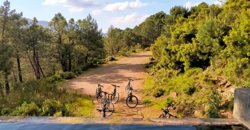 Electric mountain bike in Sierra de las Nieves national park - Why It’s Worth It