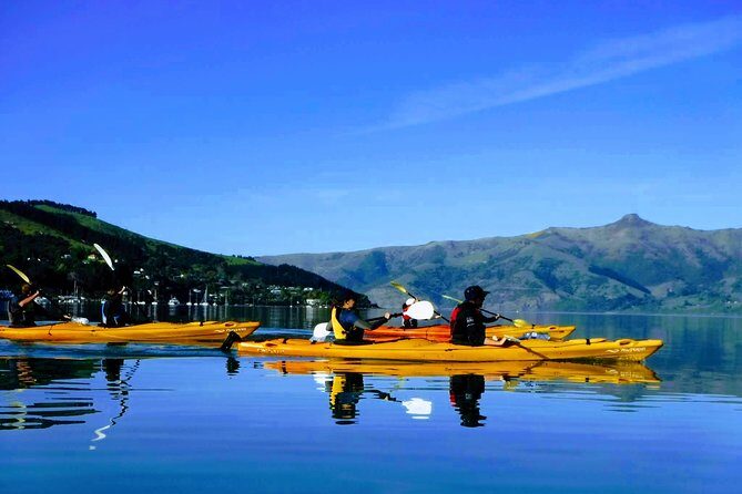 Electric Mountain Bike & Sea Kayak Tour in Akaroa - Key Points