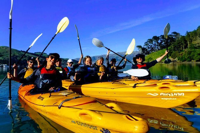 Electric Mountain Bike & Sea Kayak Tour in Akaroa - Breaking Down the Experience