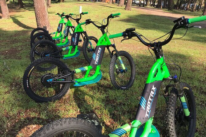 Electric Scooter Excursion with Tapas Aperitif - How Does the Pricing Reflect Value?