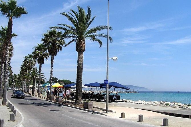 Electric Scooter Rental - FAQ