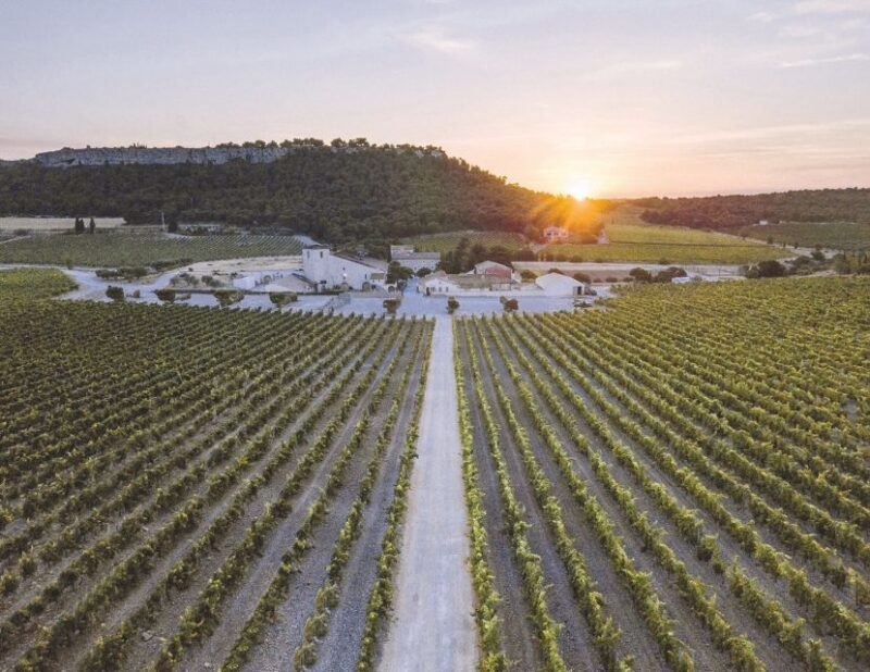 Electric Scooter Tour of Château l'Hospitalet estate - Discover the Château lHospitalet Estate on an Electric Scooter