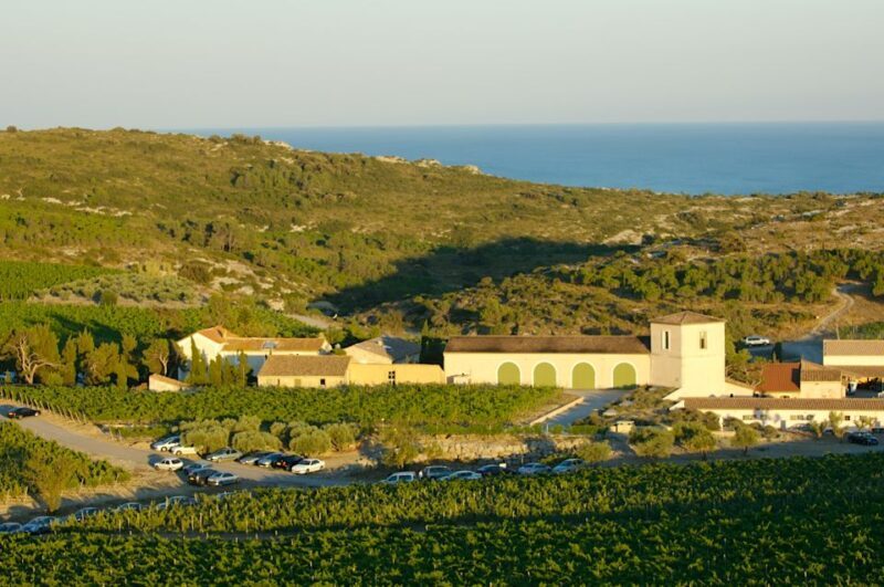 Electric Scooter Tour of Château l'Hospitalet estate - What to Expect: The Road, the Wines, and the Heritage