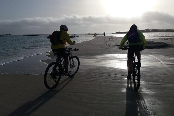 Eleftherna E-Bike and MTB Tour - Experience The Authentic Crete - FAQs