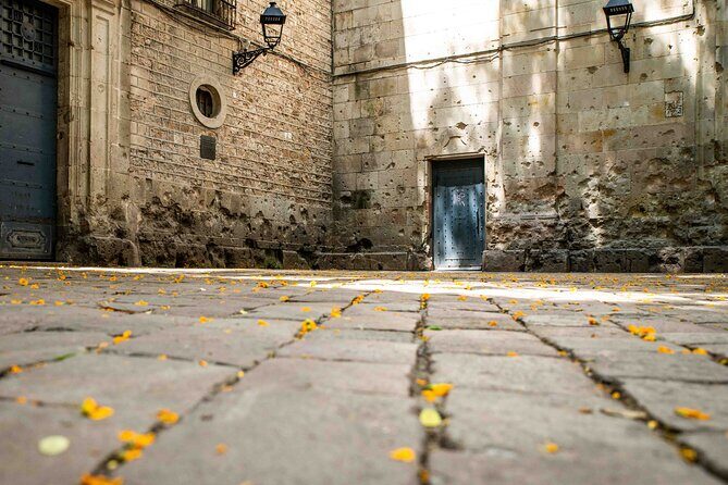 Elevate Your Photography - Barcelona Private Tour & Workshop - Practical Aspects of the Tour