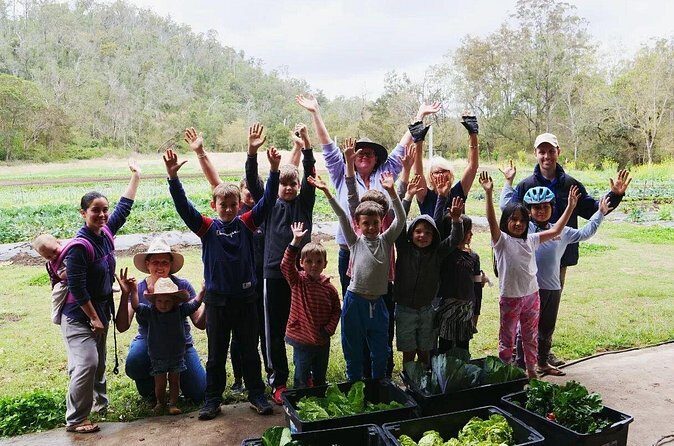 Ellia's Garden: Pick Your Own & Farm Family Fun - Attractions and Play Areas