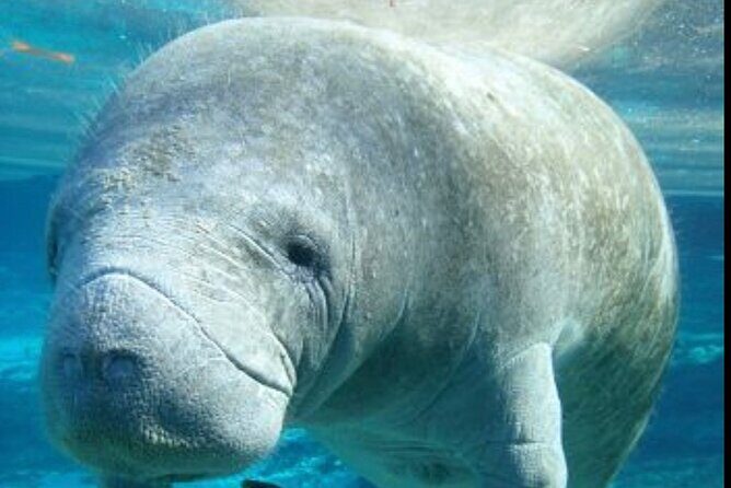 Set out on a Professional and Passionate Scuba Diving Adventure!" - Detailed Review of the Experience