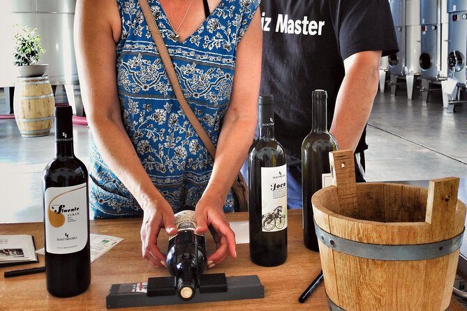 Set out on a Sicilian Wine Journey - A Closer Look at the Sicilian Wine Tour